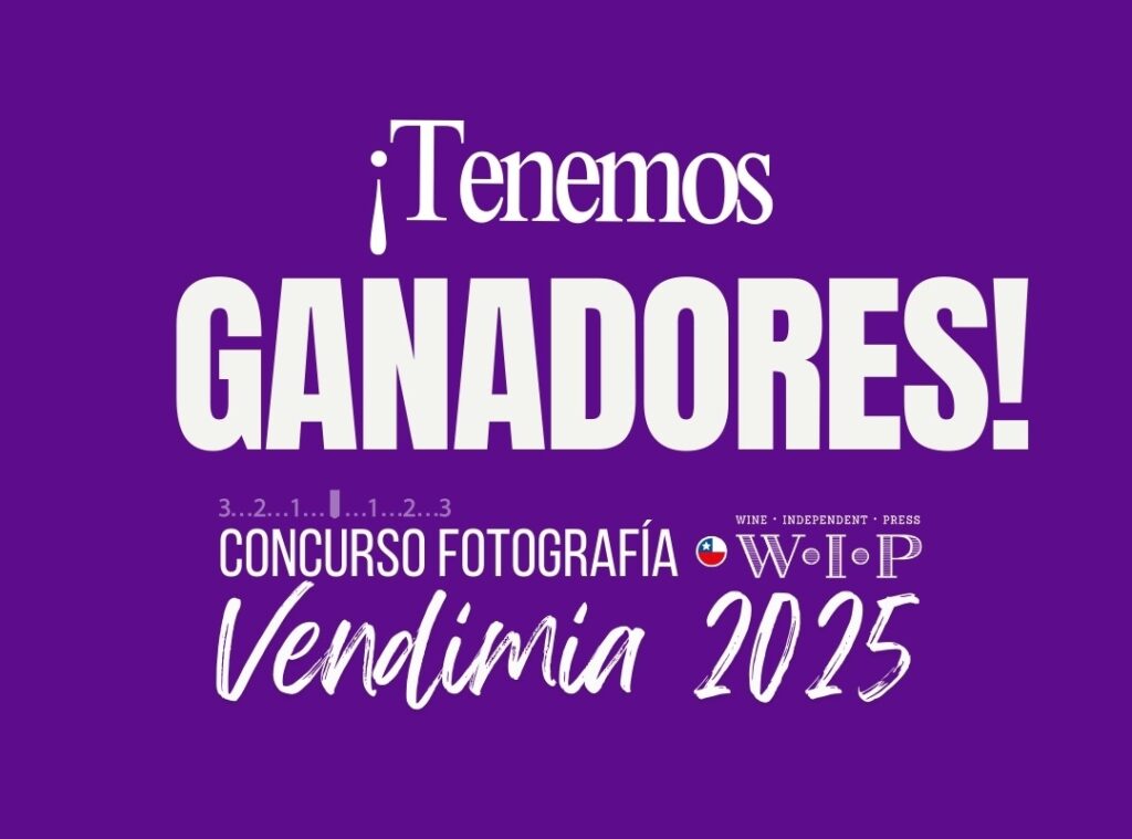TODO SOBRE FESTIVAL ÑAM SANTIAGO 2025 - WIP.cl WIP.cl